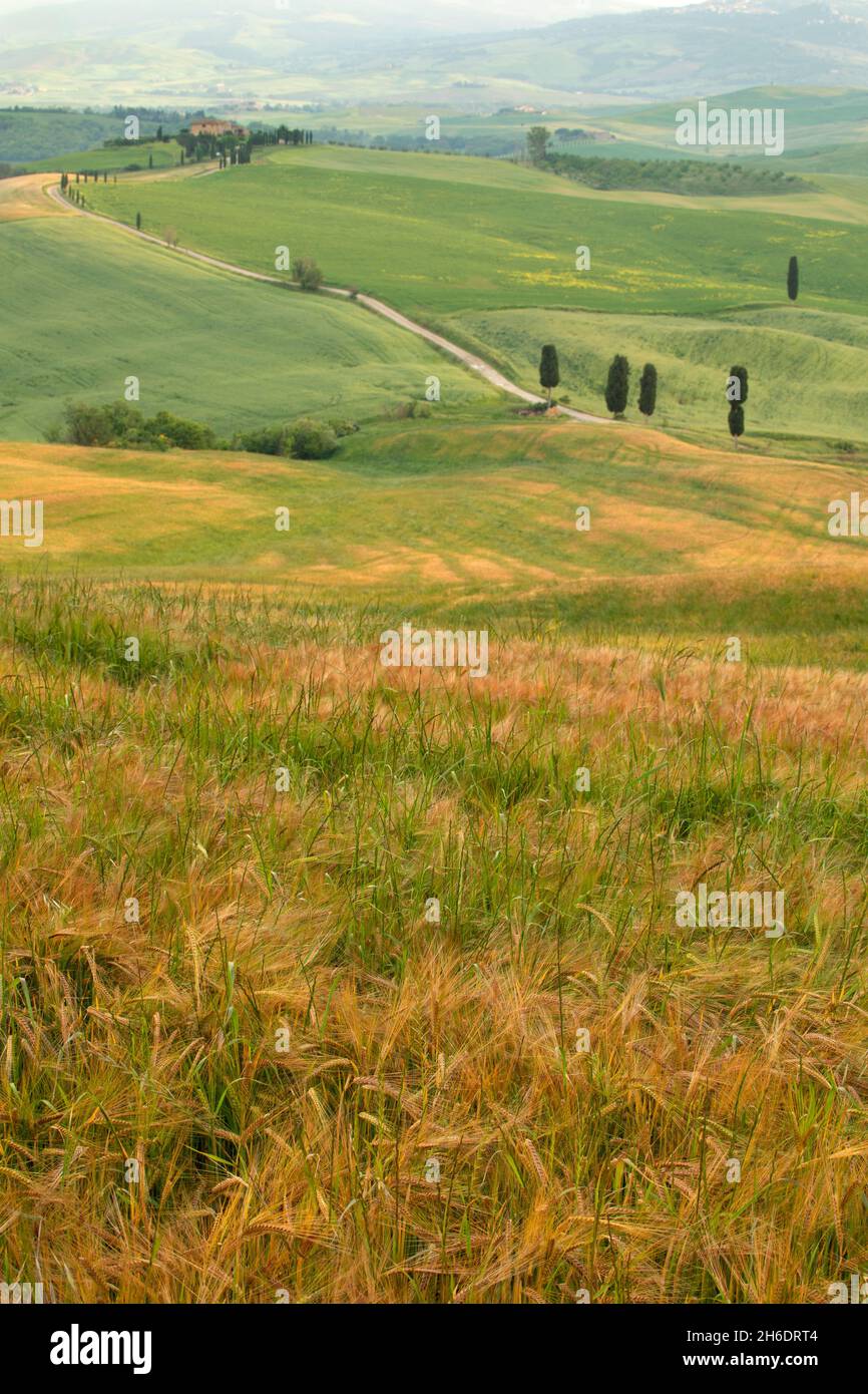 Tuscany vacation hi-res stock photography and images - Alamy