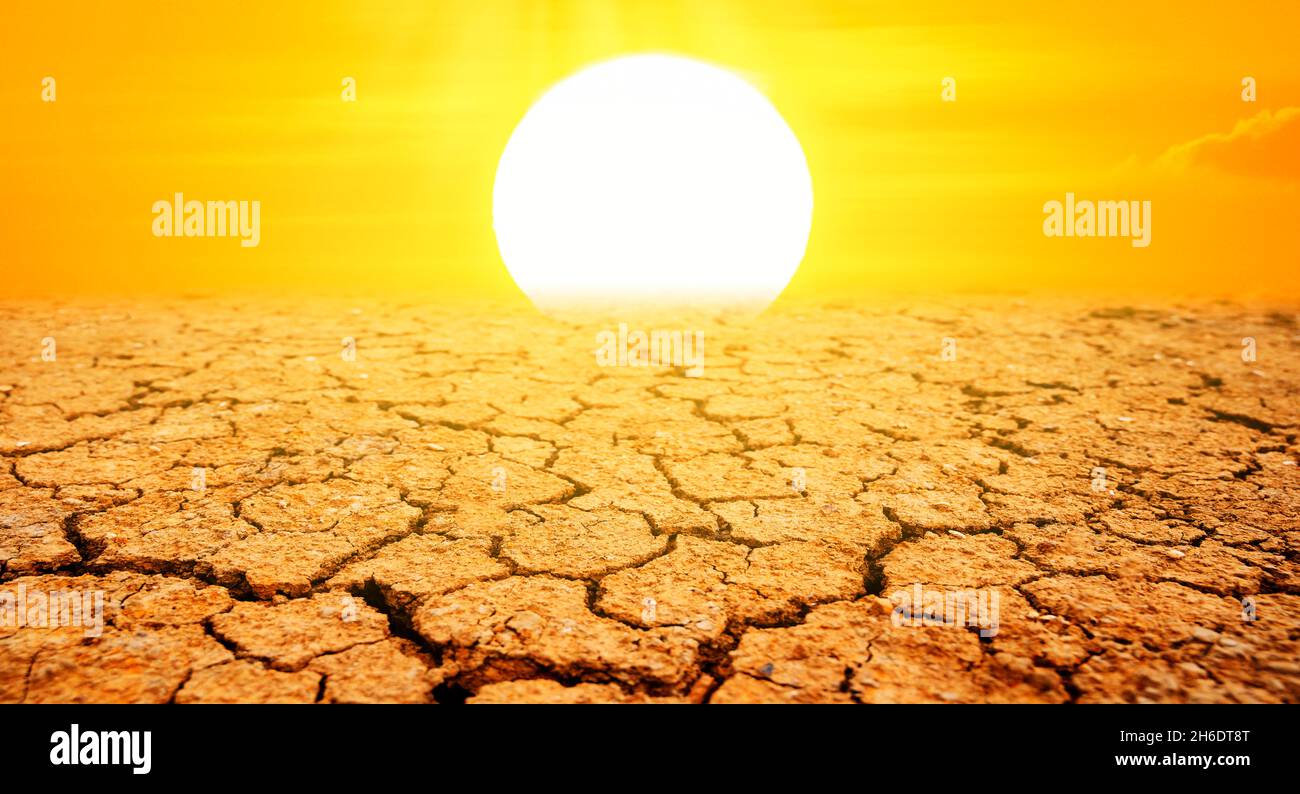 The sweltering sun in the ground very dry Stock Photo - Alamy