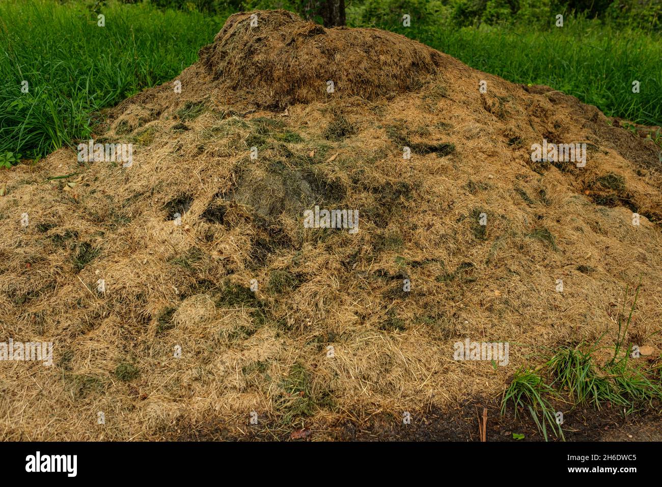 Dunghill hi-res stock photography and images - Alamy
