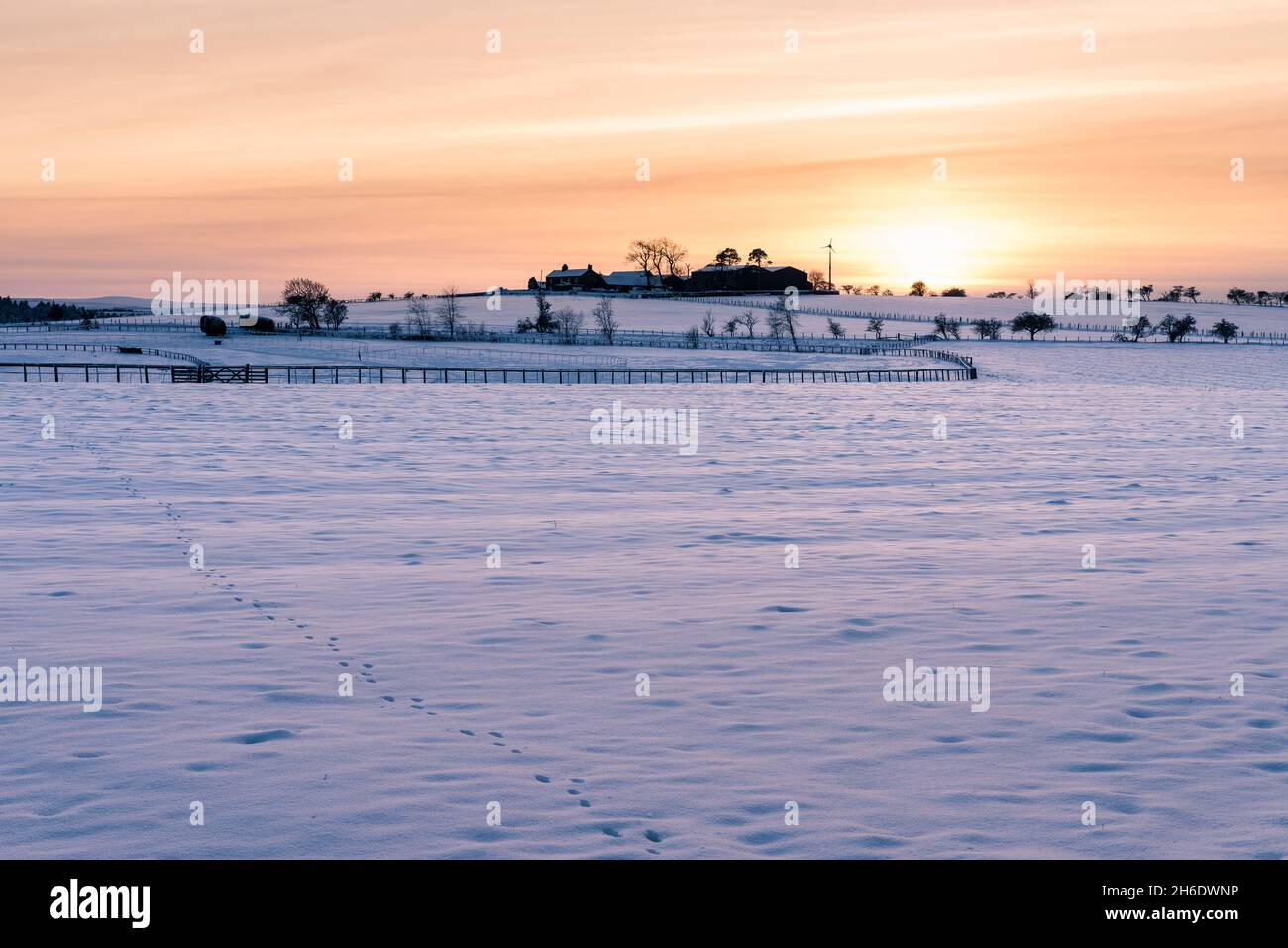 Farm buildings and wind turbine on skyline behind Hexham racecourse all ...