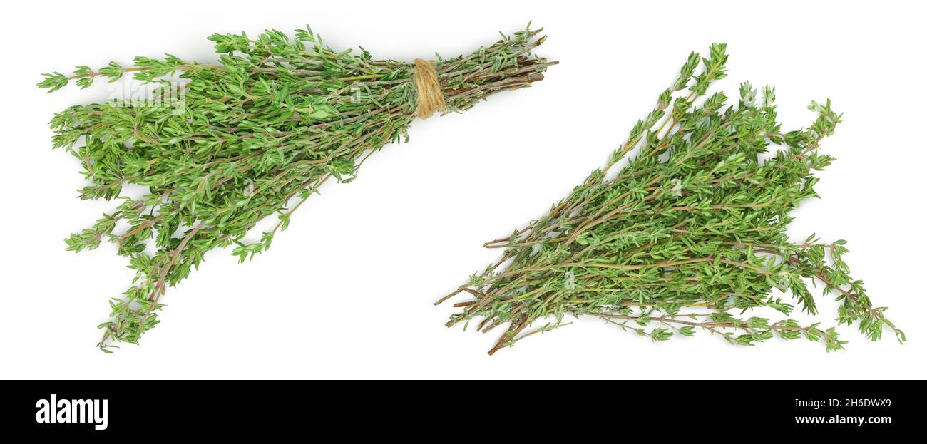fresh thyme isolated on a white background with clipping path and full ...