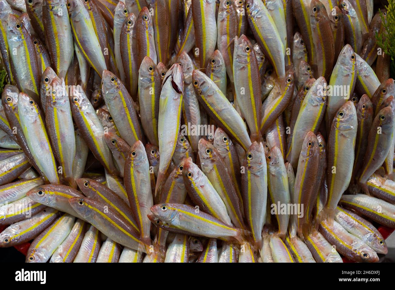 Top view of raw fish shelf in bazaar Stock Photo - Alamy