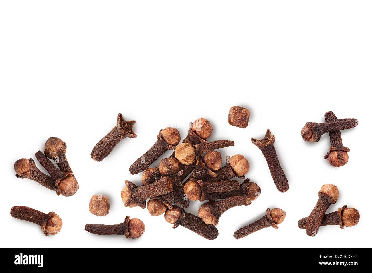 Dry spice cloves isolated on white background. Top view with copy space ...