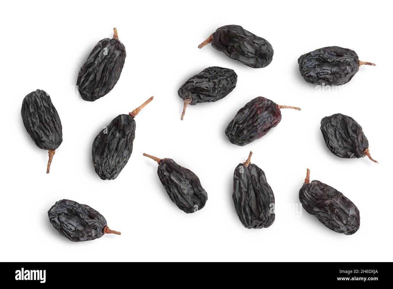Black raisin isolated on white background with clipping path. Top view ...