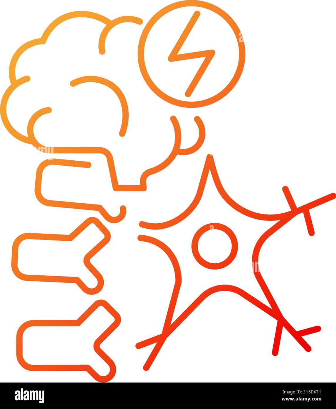 Nervous system brain and spinal cord drawing Stock Vector Images - Alamy