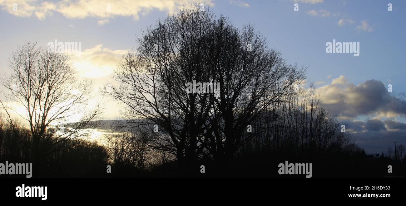 Autumn, Nature is waiting for the winter Stock Photo - Alamy