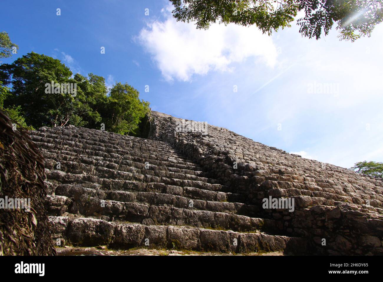 COBA, YUCATAN, MEXICO, DECEMBER 12, 2011 : pyramid temple in Coba ...