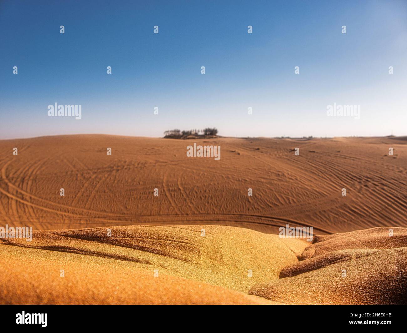 sand dunes in the desert of UAE Stock Photo - Alamy