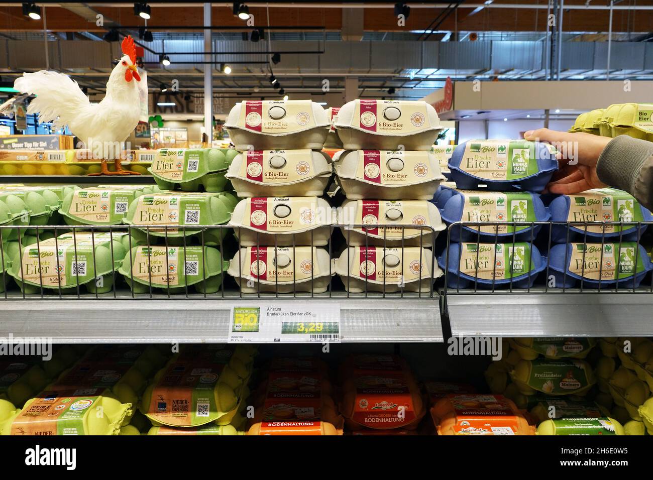 Bio Egg cartons in a supermarket Stock Photo - Alamy
