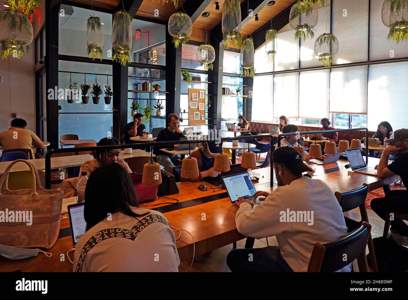 9 bar cafe on Greene street in Jersey City New Jersey Stock Photo - Alamy