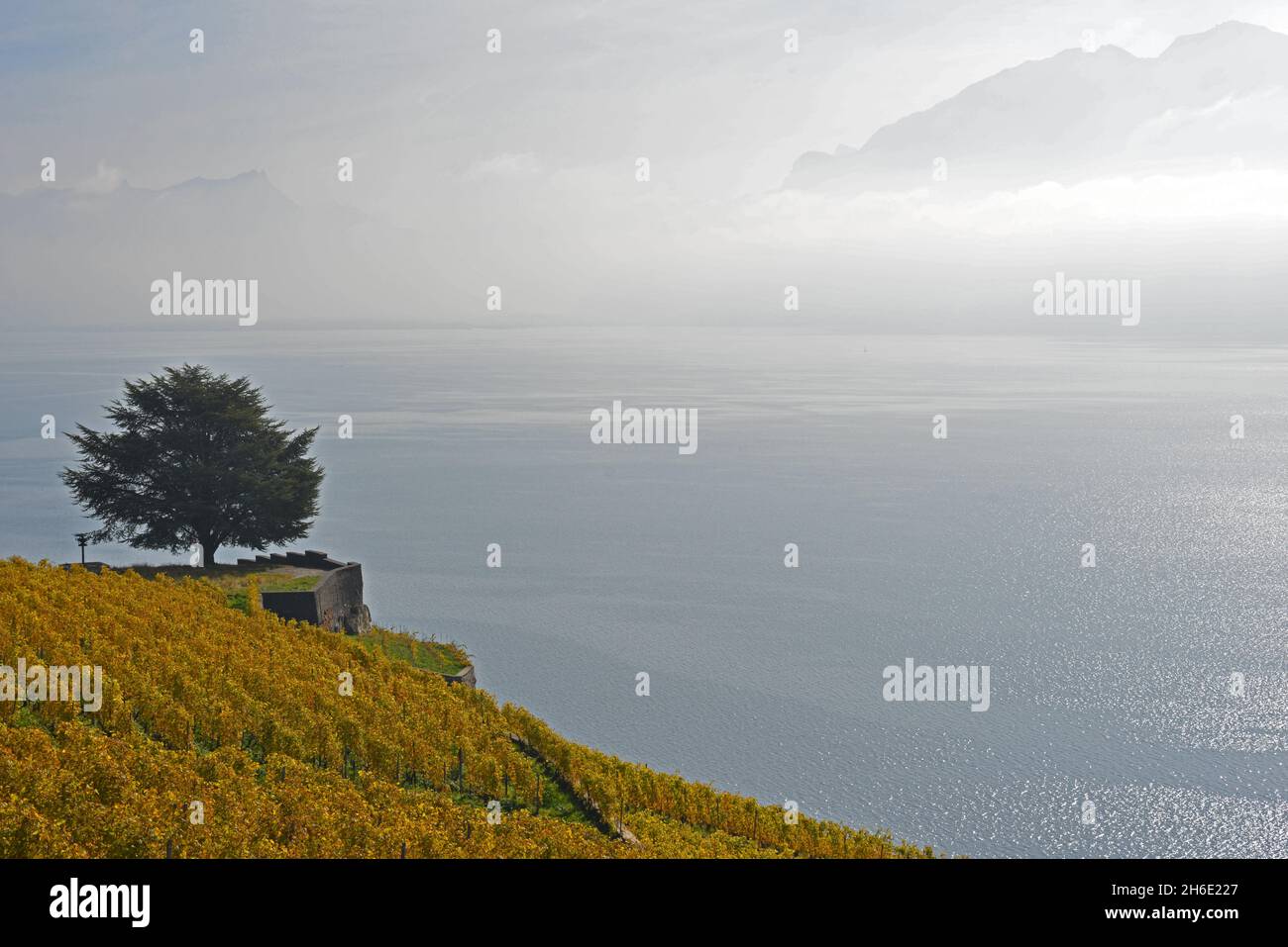 Autumnal hills vineyards mountains hi-res stock photography and images ...