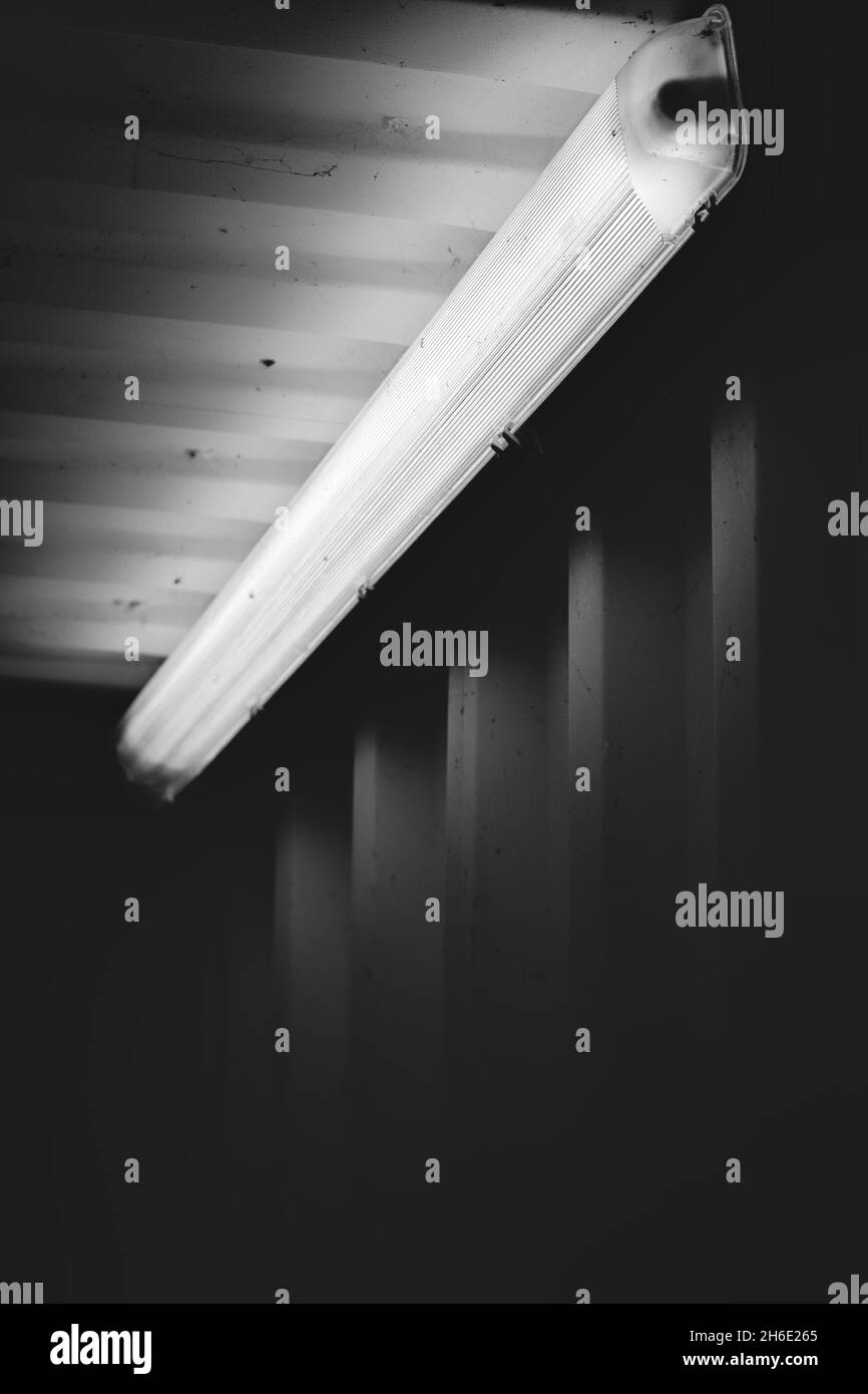 Neon light in container Stock Photo - Alamy