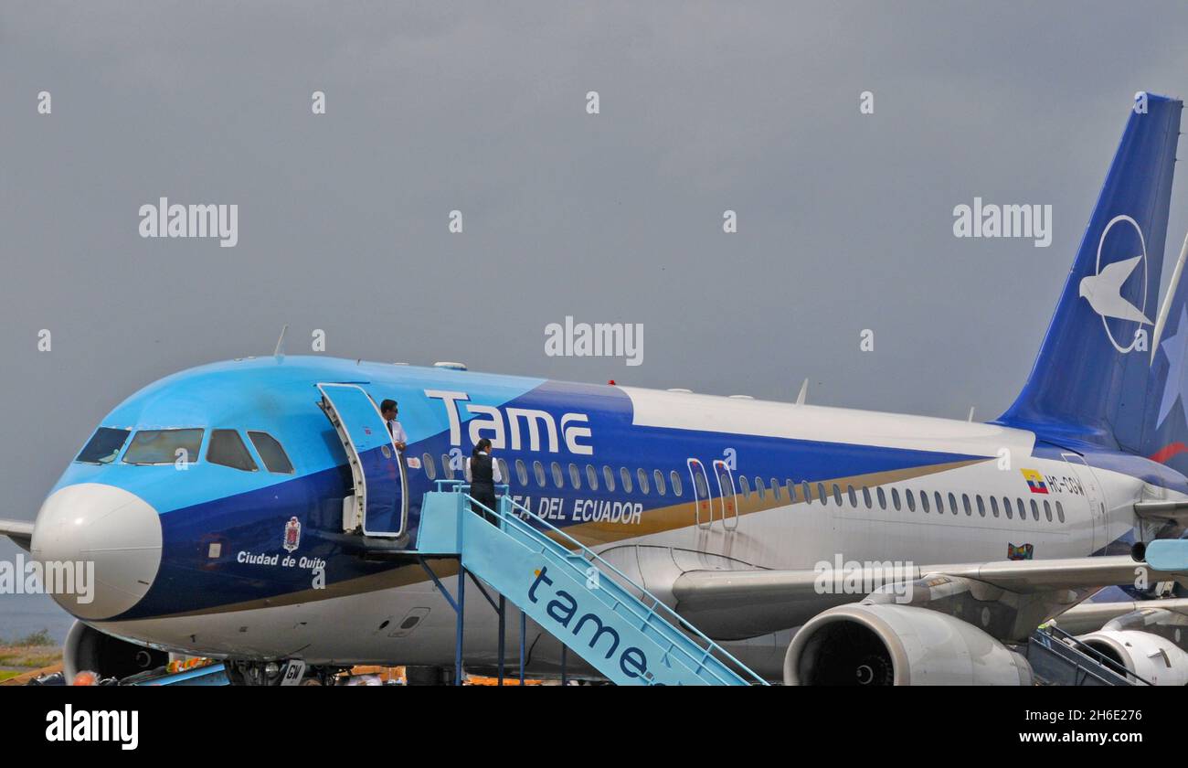 Linea del logo hi-res stock photography and images - Alamy