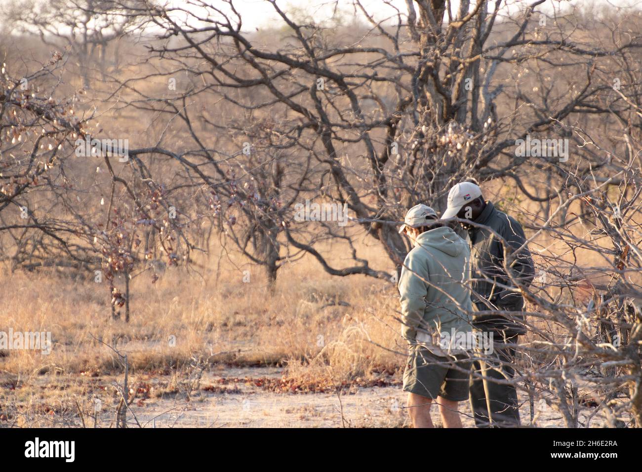 HAZYVIEW, SOUTH AFRICA - Nov 05, 2021: Safari guide and tracker are ...