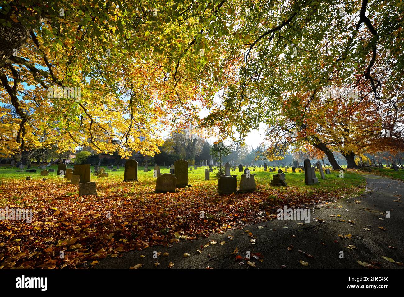 Leicester, Leicestershire, UK 15th November 2021. UK News. An Autumnal ...