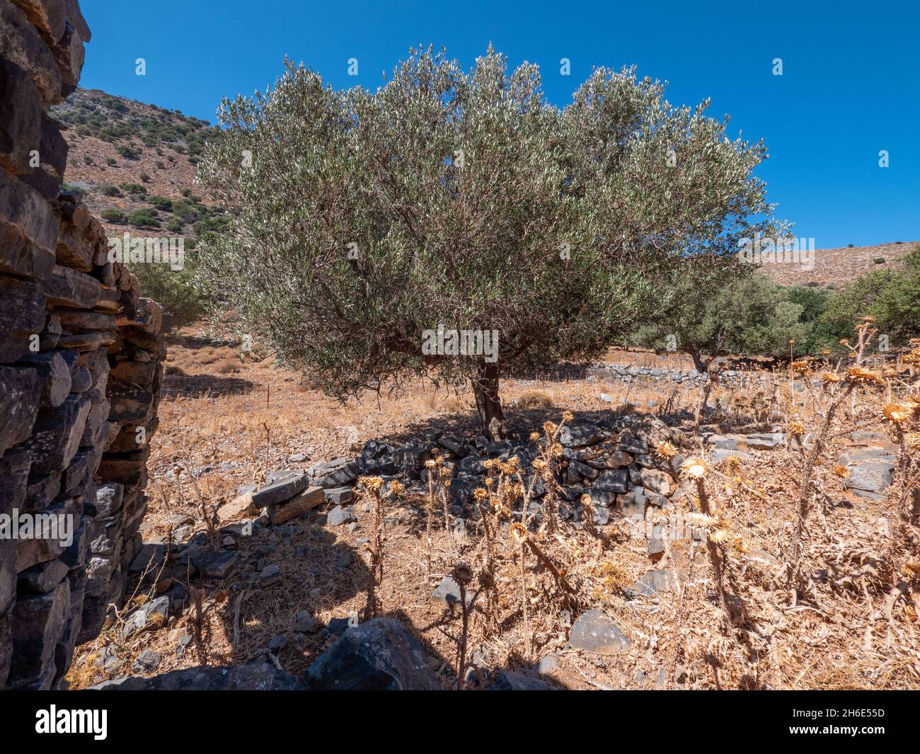 Landscape of Crete Island Stock Photo - Alamy
