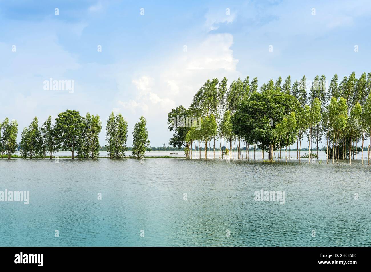 Scenic view of traditional flooded fields like a still lake on floating ...