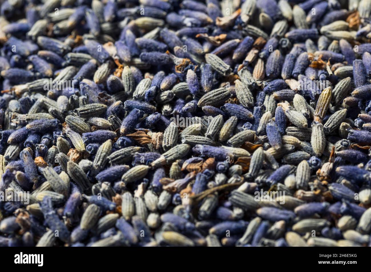 Purple spice hi-res stock photography and images - Alamy