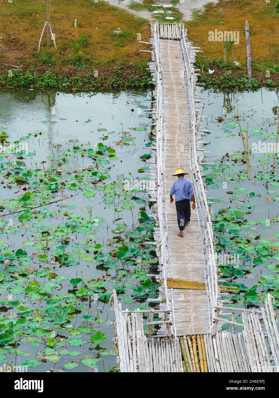 Top view of Asian male farmer walking on bamboo bridge over river with ...