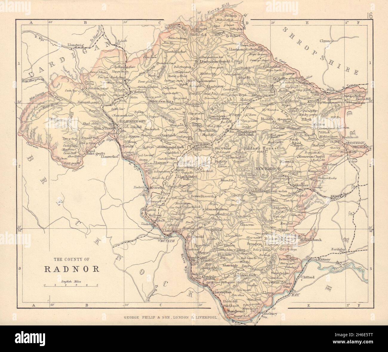RADNORSHIRE "The County of Radnor" Wales BARTHOLOMEW 1890 old antique ...
