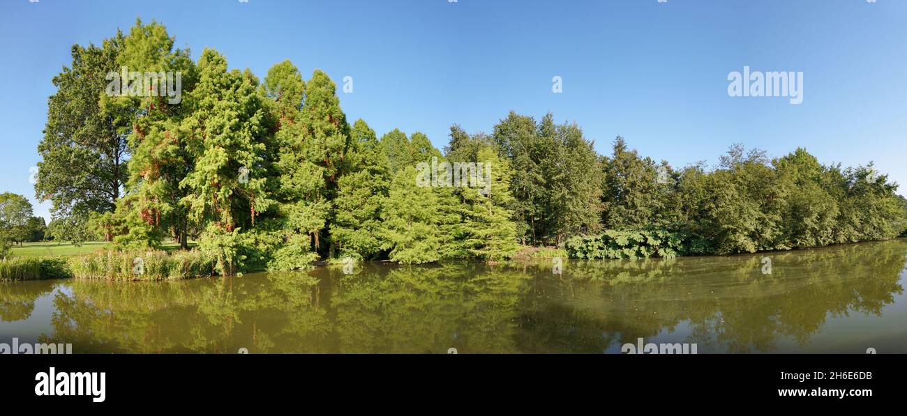 Tree Panorama behind a Lake in a Park Stock Photo - Alamy