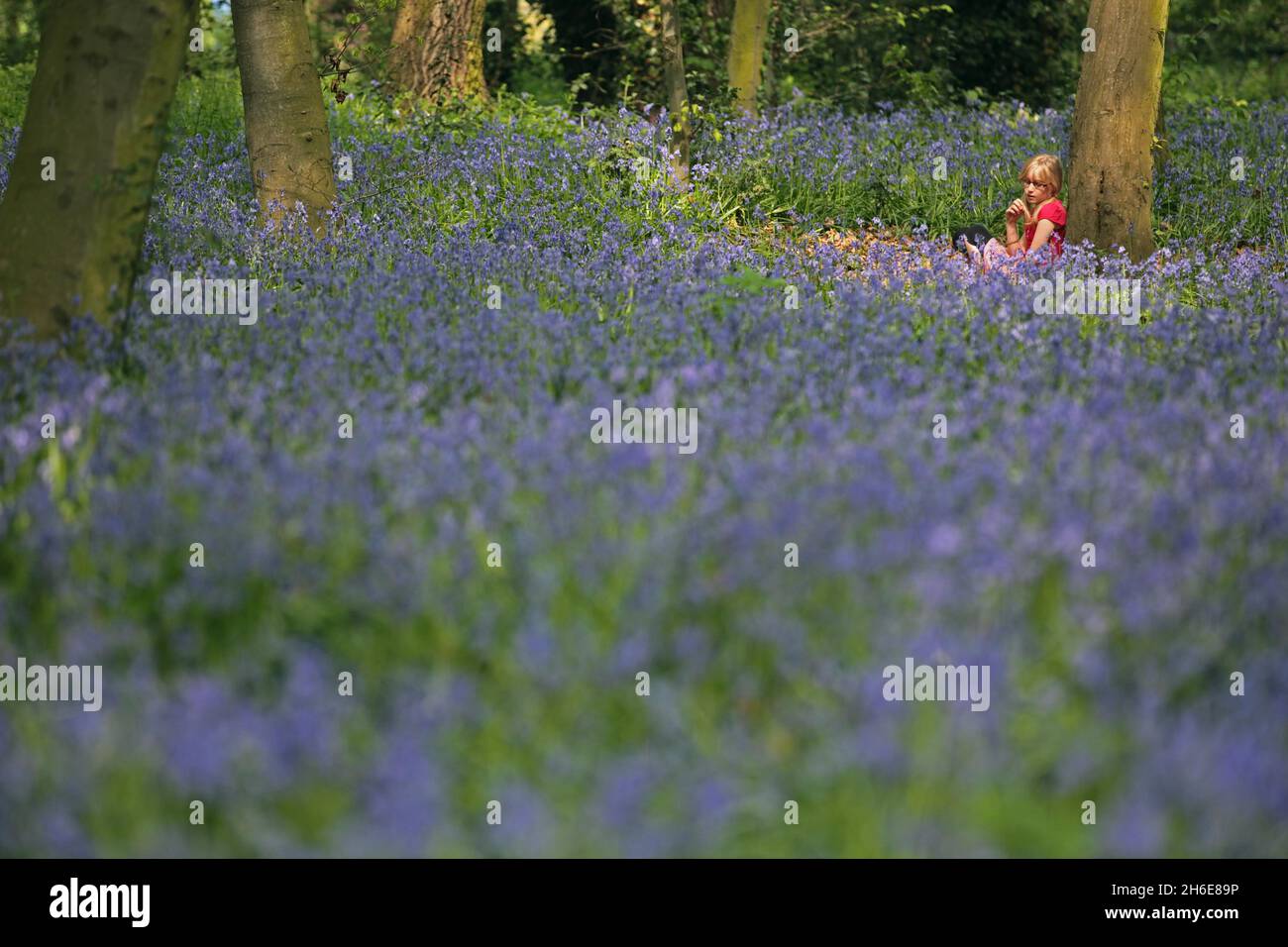 11 year old Jess makes the most of her Easter holiday by playing in the ...