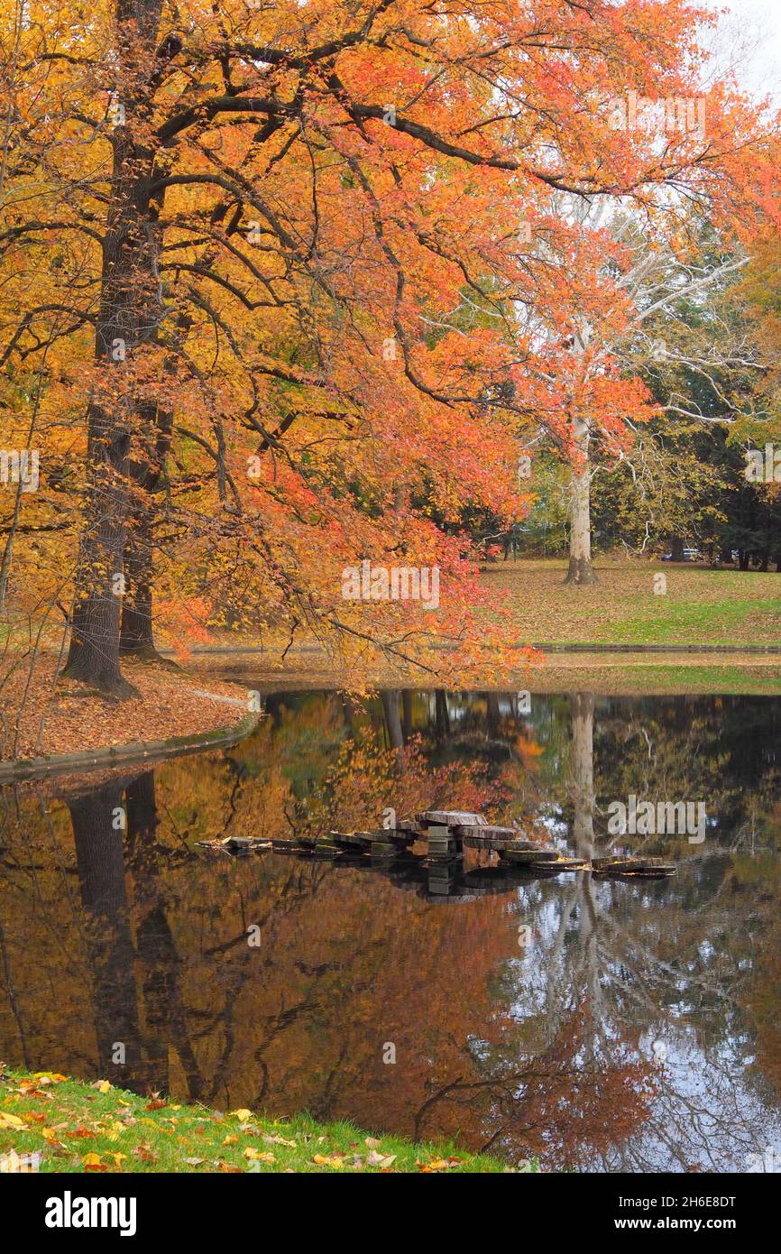 The colors change in the autumn season each year Stock Photo - Alamy