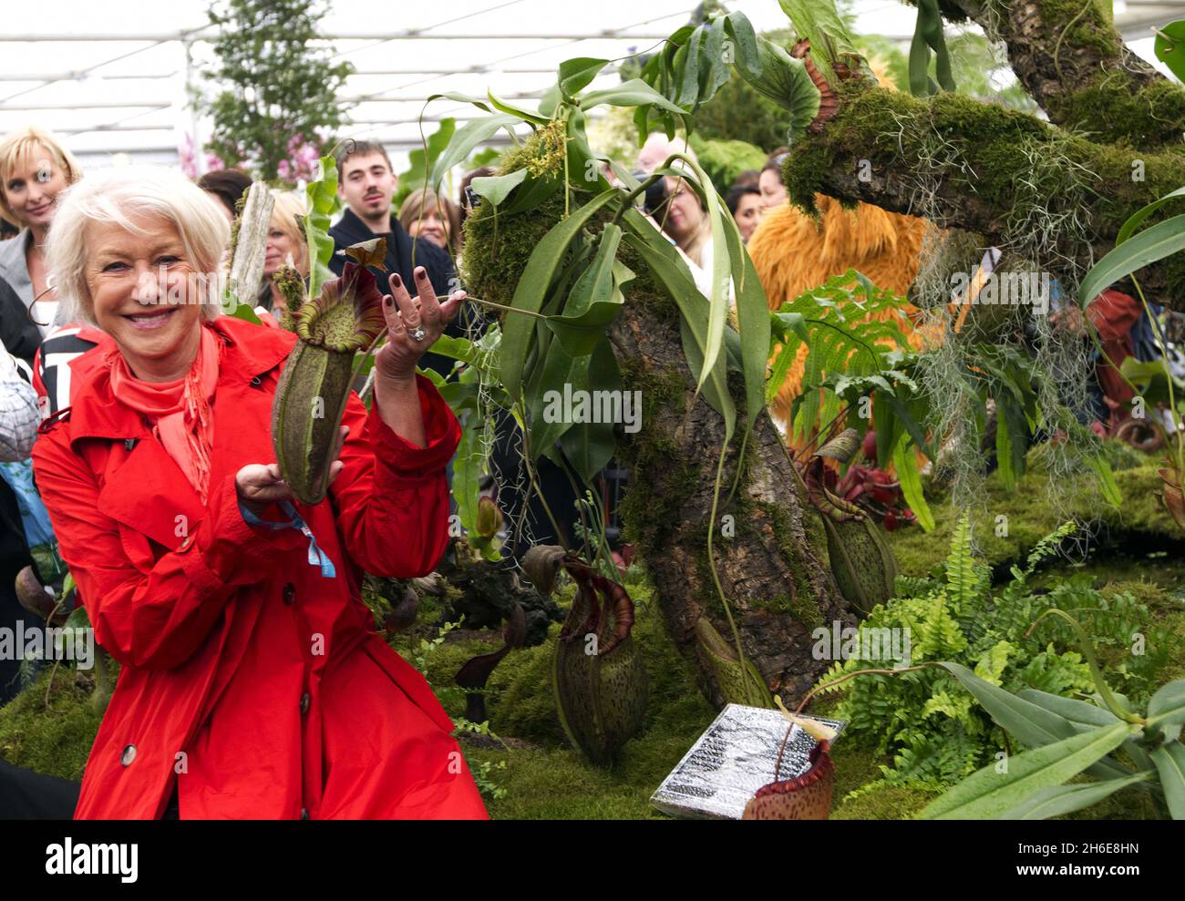 Dame Helen Mirren pictured with the Nepenthes 'Helen' a carnivorous ...