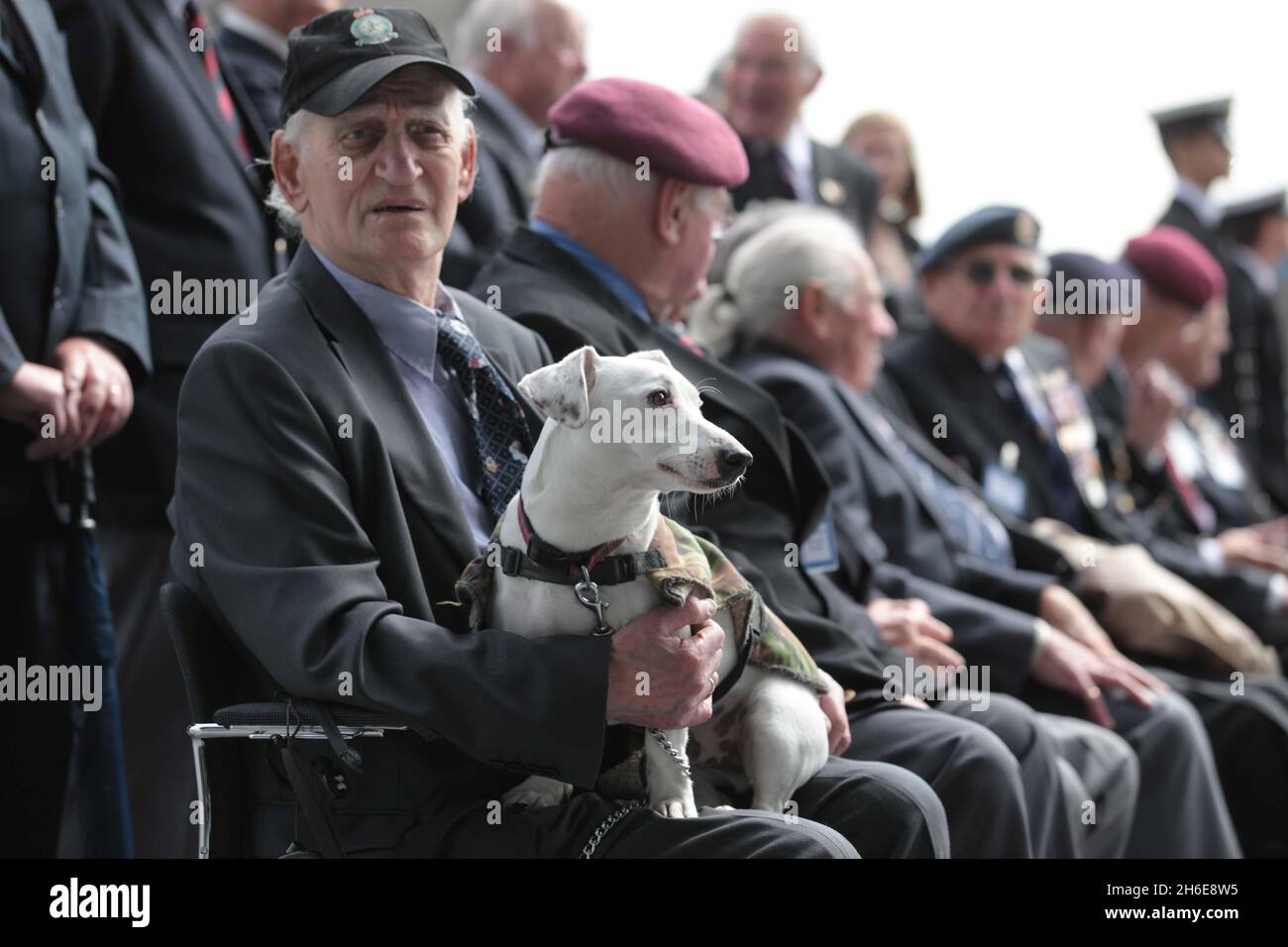 WW2 veterans, including 84 year old ex RAF veteran Ron Kane and his dog ...