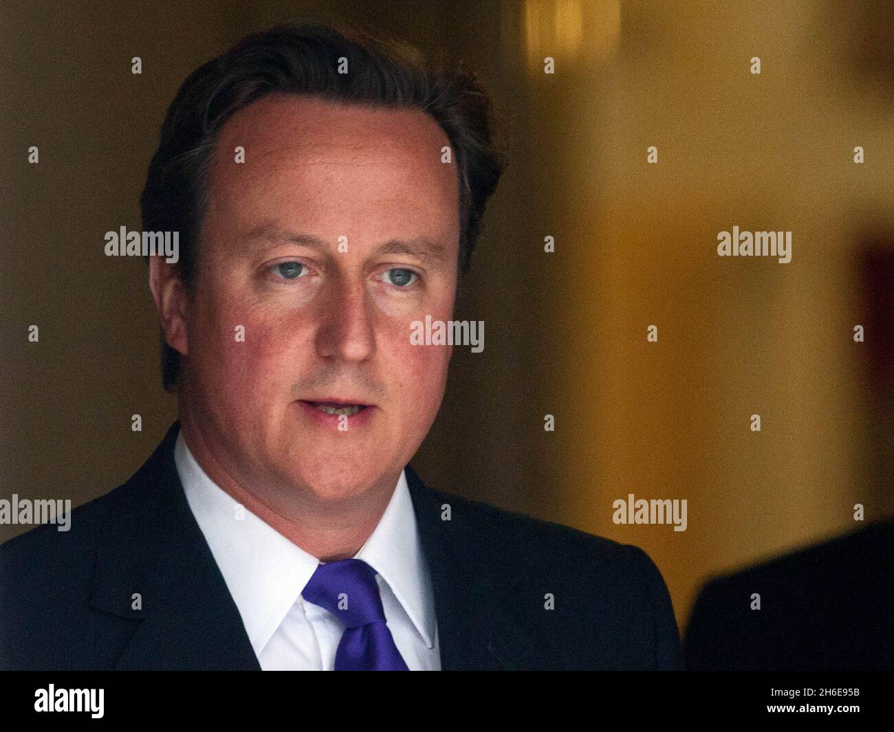 PM David Cameron pictured in Downing Street, London Stock Photo - Alamy