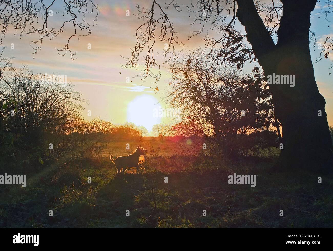 Flats lphli hi-res stock photography and images - Alamy