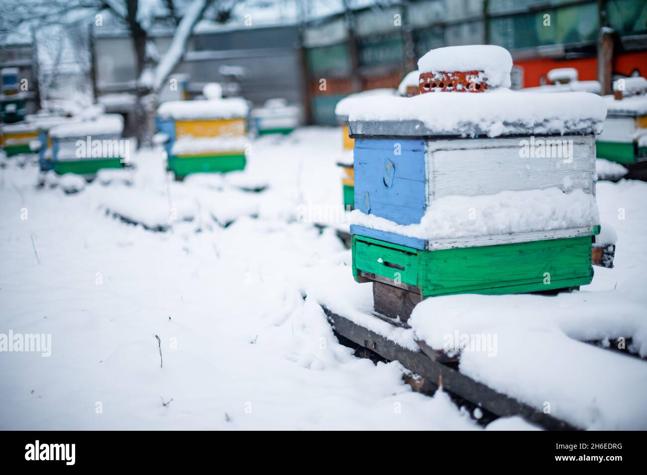 Snow on beehives hi-res stock photography and images - Alamy