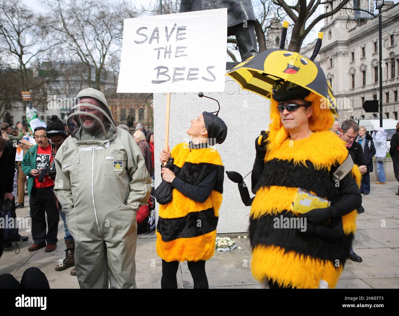 A group of beekeepers and enthusiasts held a protest outside Parliament ...