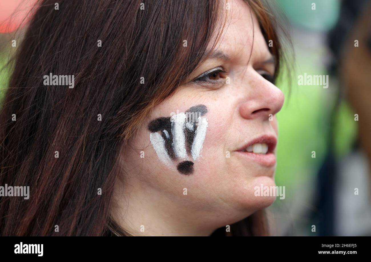 Badger face paint hi-res stock photography and images - Alamy
