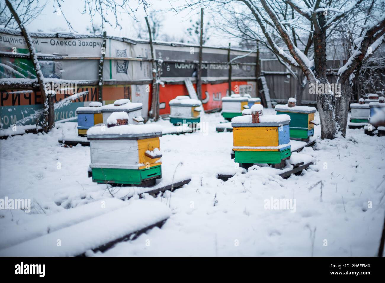 Group beehives in winter garden with snow covering among snow-covered ...