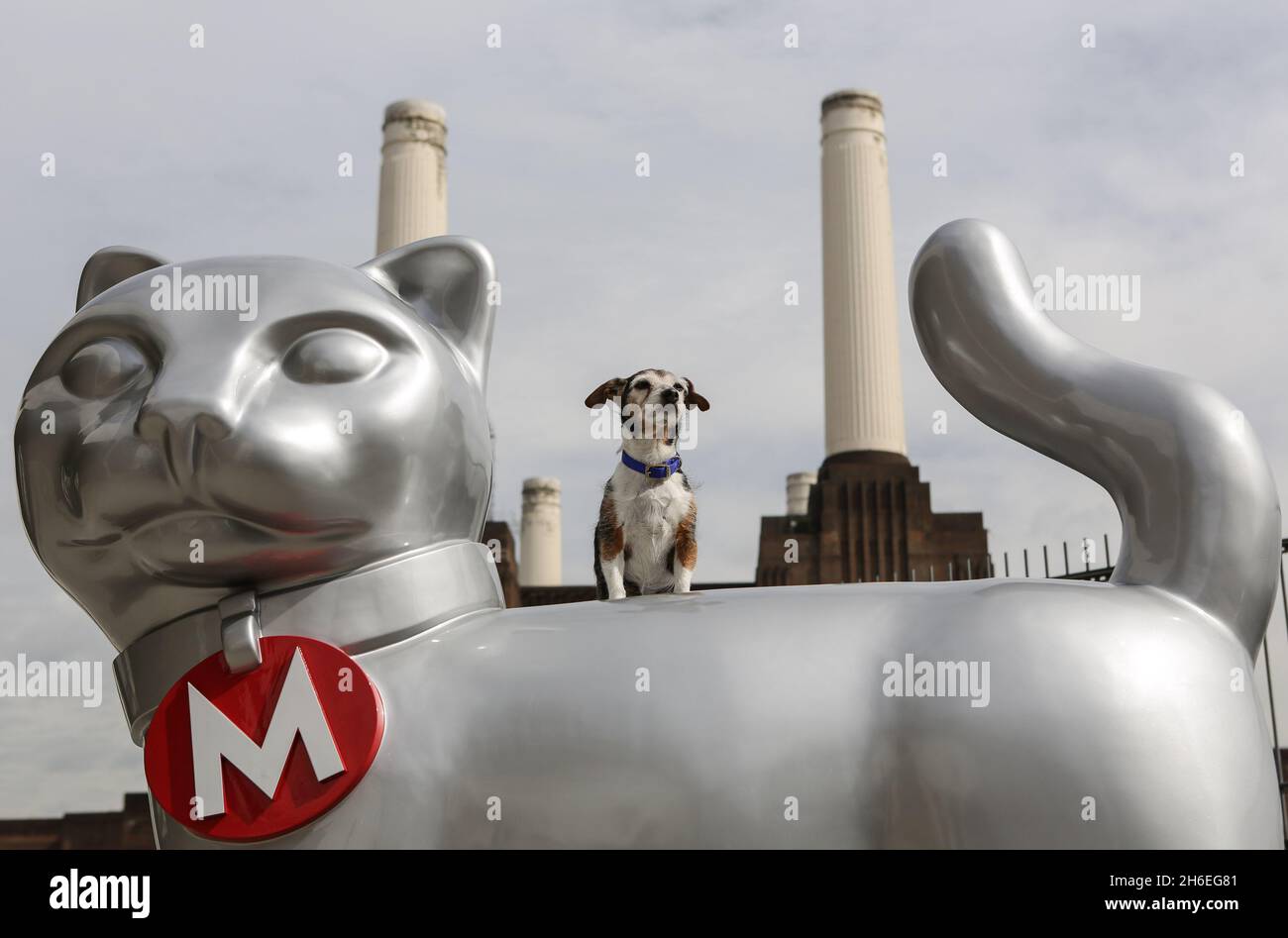 A larger than life Monopoly Cat has arrived in London, in a bid to show ...