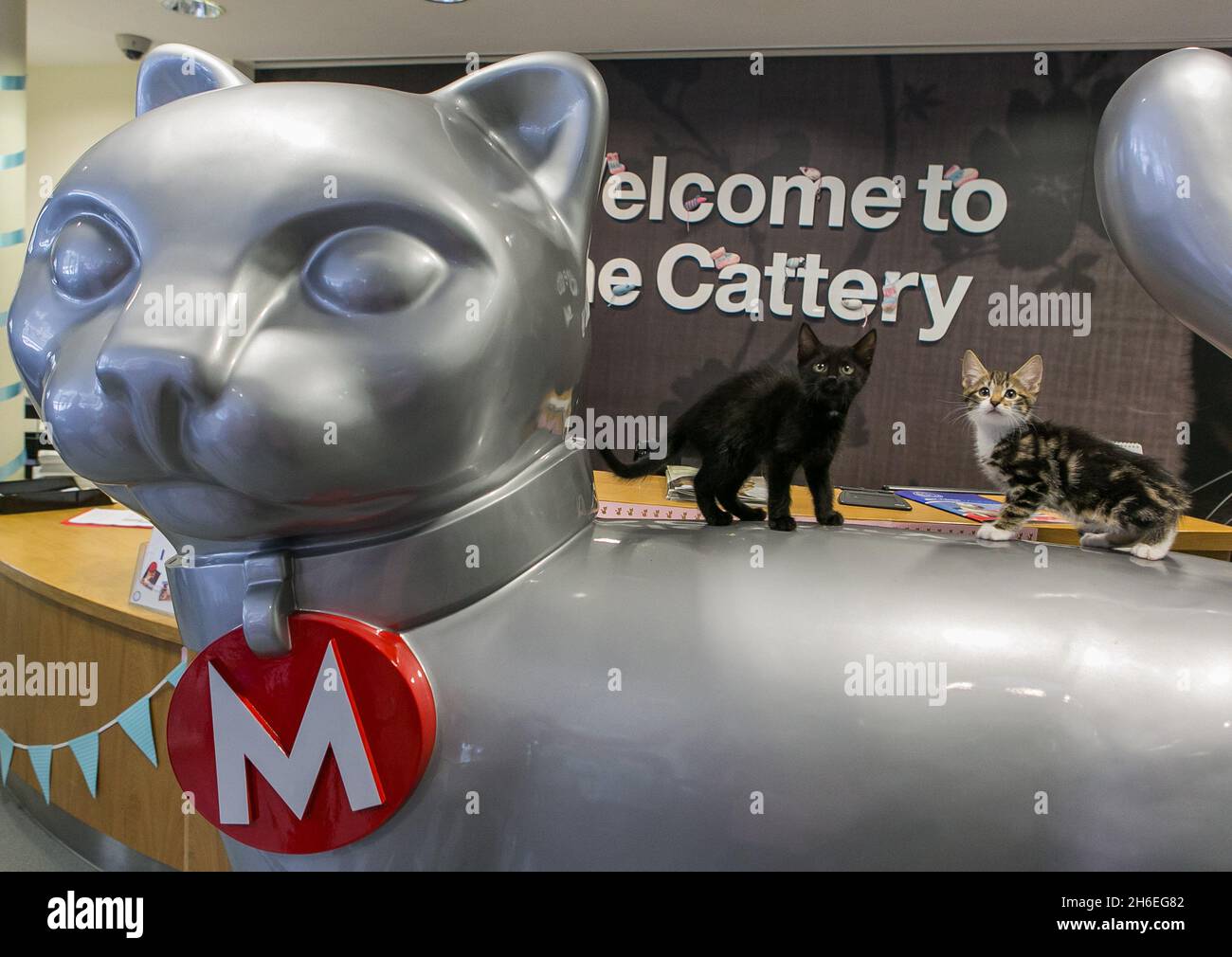 A larger than life Monopoly Cat has arrived in London, in a bid to show ...