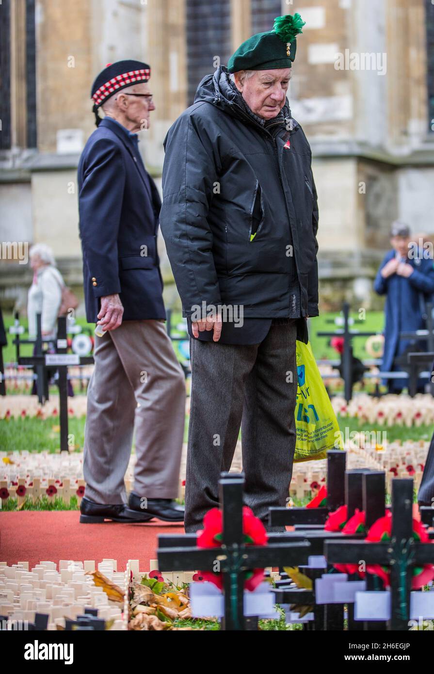 War veterans show their respect at the Field of Remembrance in ...