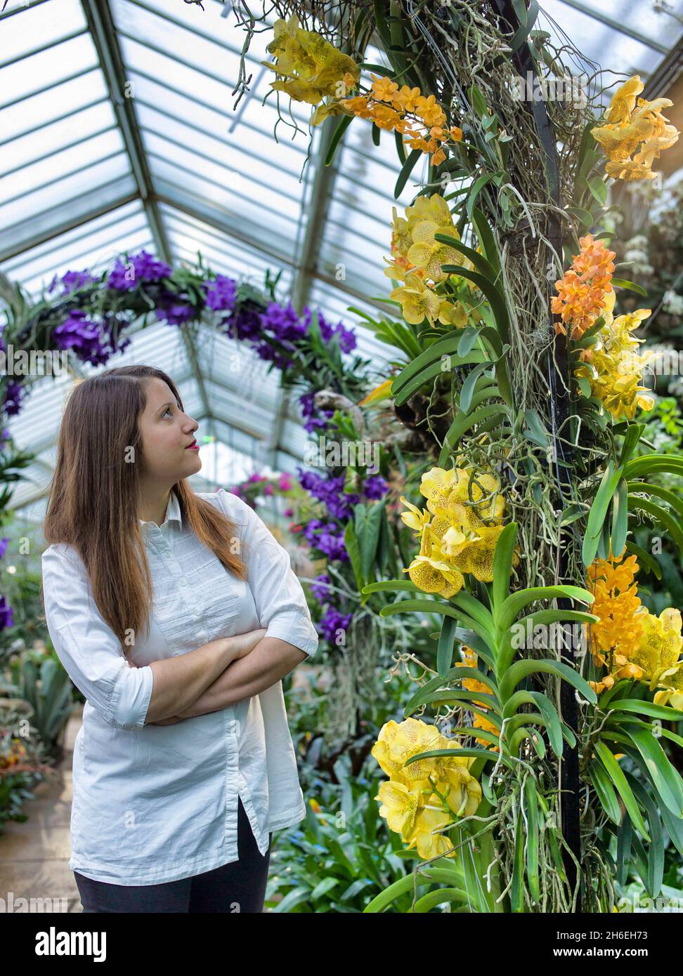 Caroline Craig takes a look exotic and rare orchids in the steamy ...