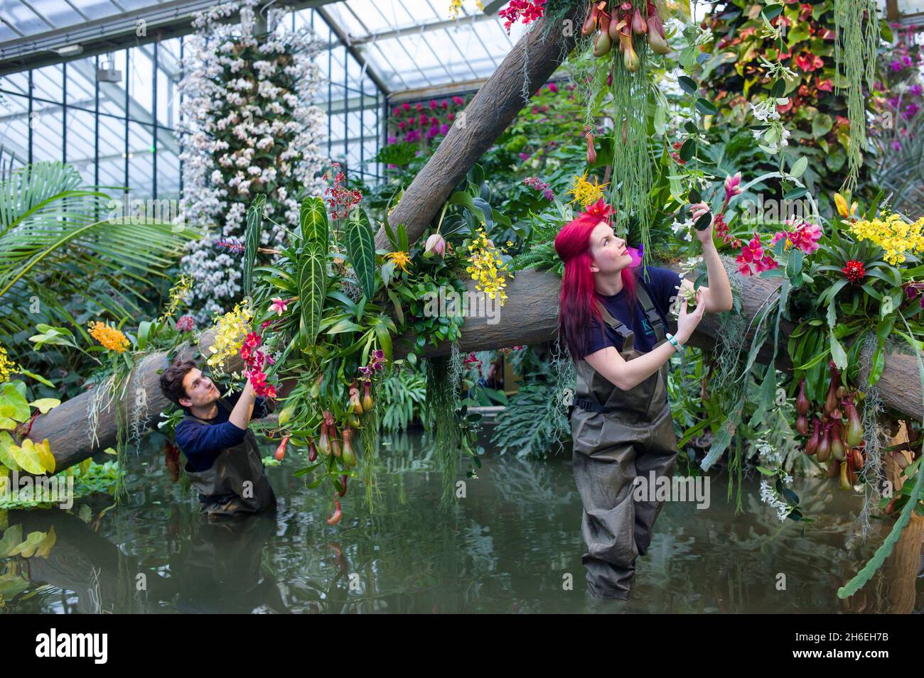 Alex Hoyle and Elisa Biondo make final touches to the exotic and rare ...