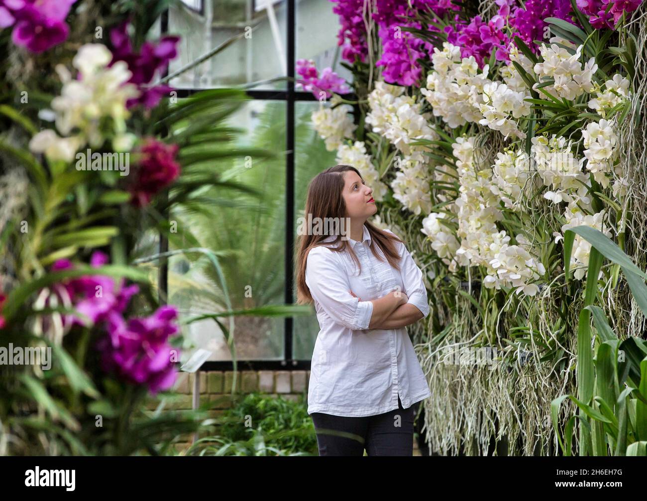 Caroline Craig takes a look exotic and rare orchids in the steamy ...