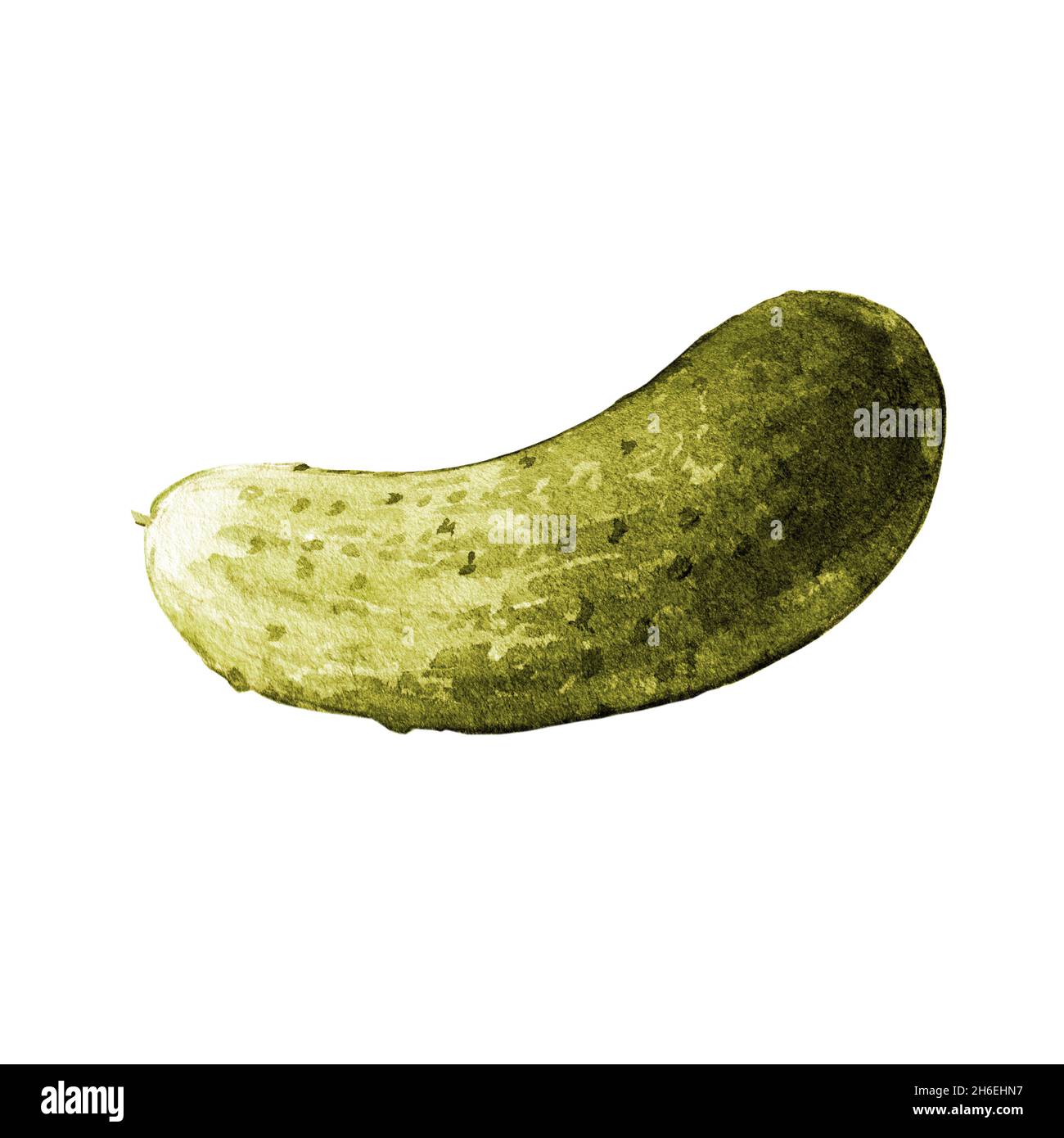 Pickle watercolor illustration on white background Stock Photo - Alamy