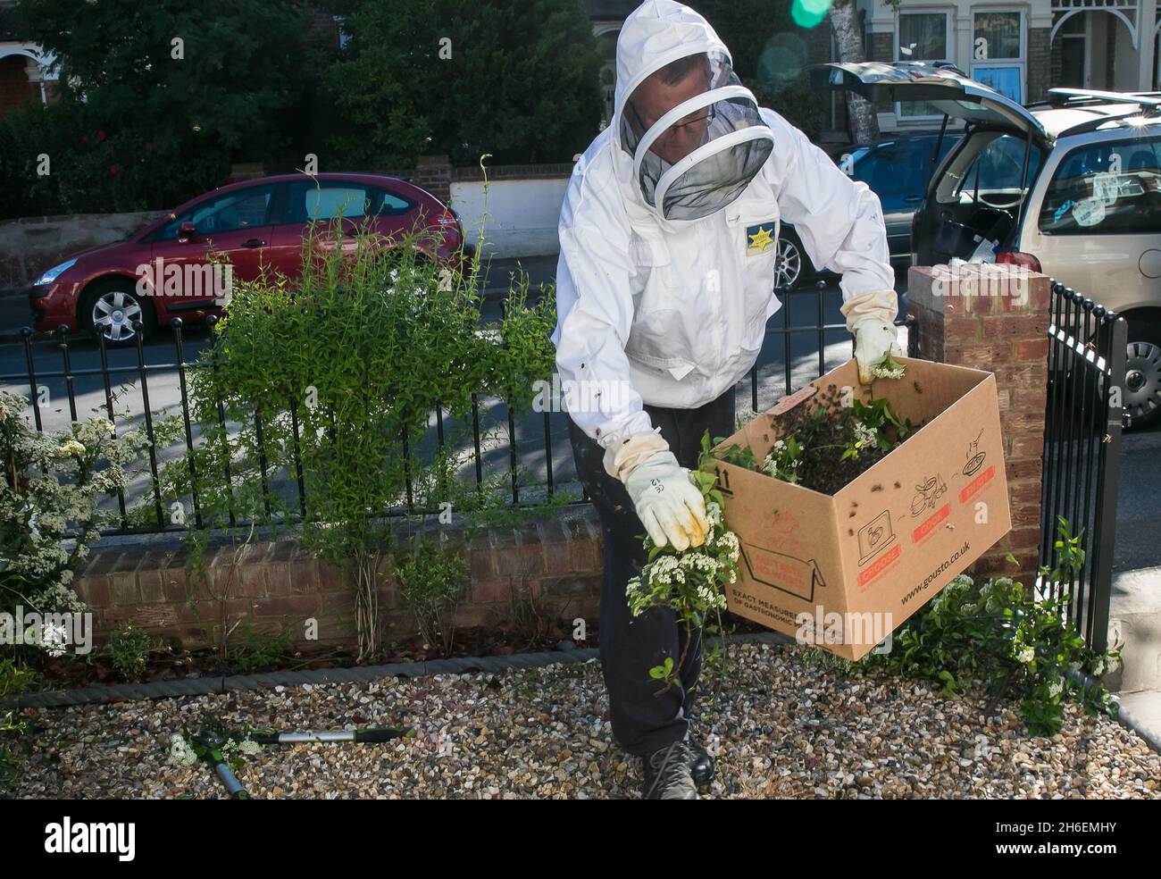 Residents in an East London street were shocked to see over 15,000 bees ...