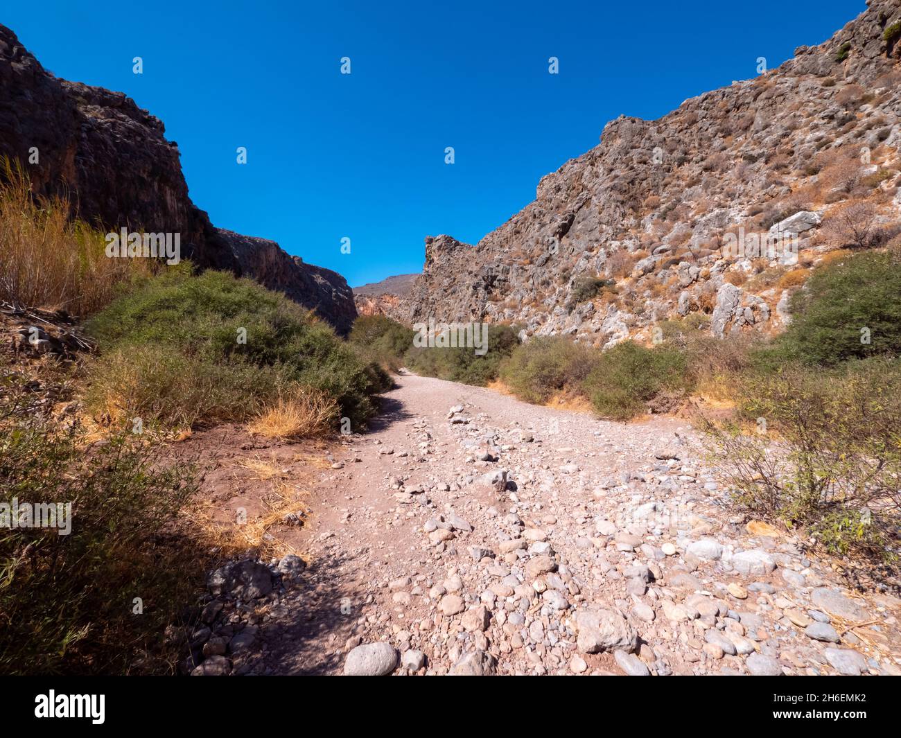 Wadi, Dry Gorge with some plants and trees Stock Photo - Alamy