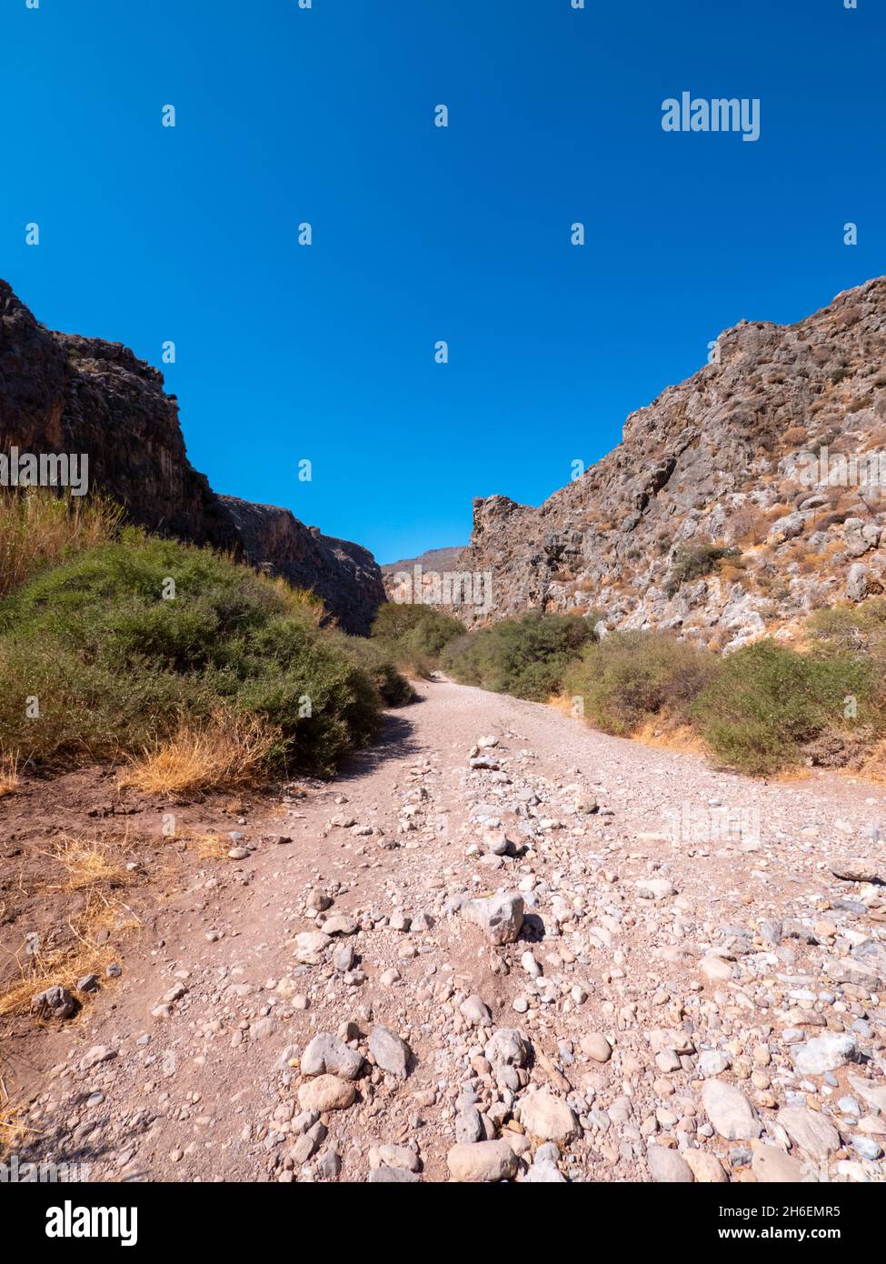 Wadi, Dry Gorge with some plants and trees Stock Photo - Alamy