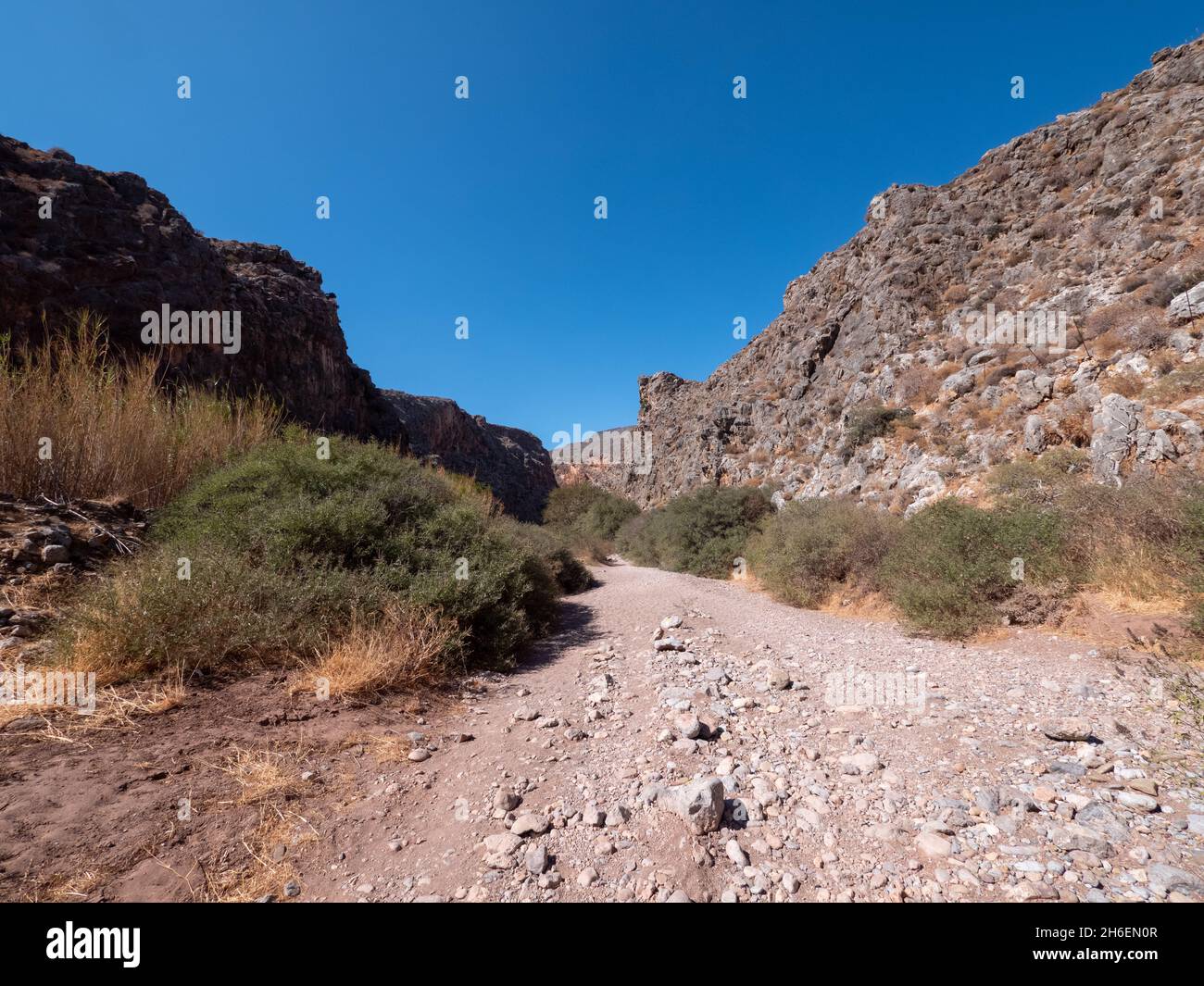 Wadi, Dry Gorge with some plants and trees Stock Photo - Alamy