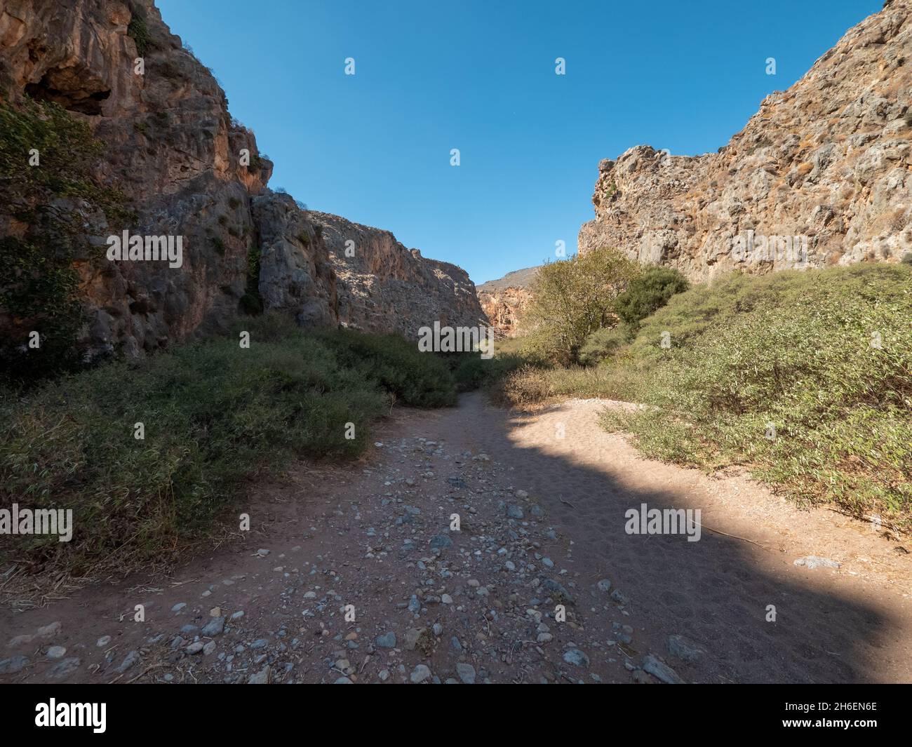 Wadi, Dry Gorge with some plants and trees Stock Photo - Alamy