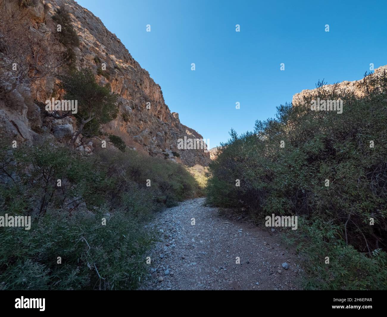 Wadi, Dry Gorge with some plants and trees Stock Photo - Alamy