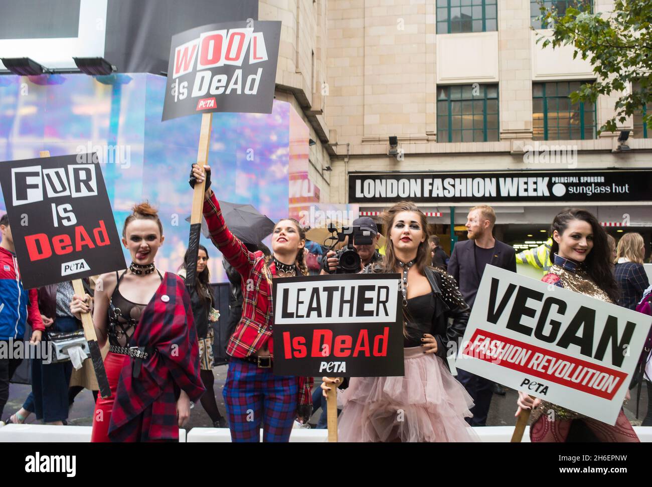 As London celebrates 40 years of punk, PETA activists showed up at the ...