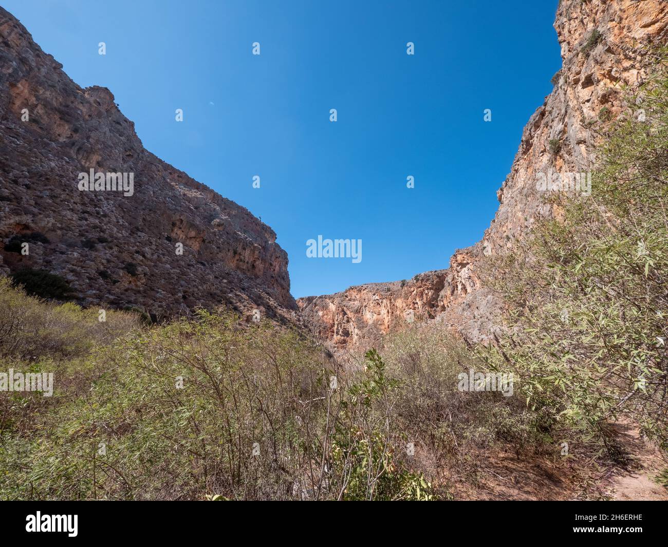 Wadi, Dry Gorge with some plants and trees Stock Photo - Alamy